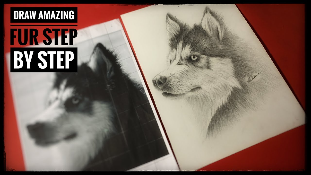 Drawing techniques for beginners | Lesson 31 | Draw amazing fur with ...