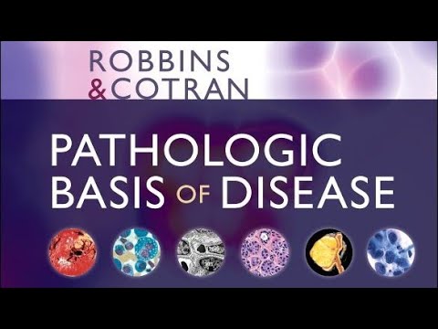 CHAPTER 1 - Basic Principles of Cell Biology - YouTube