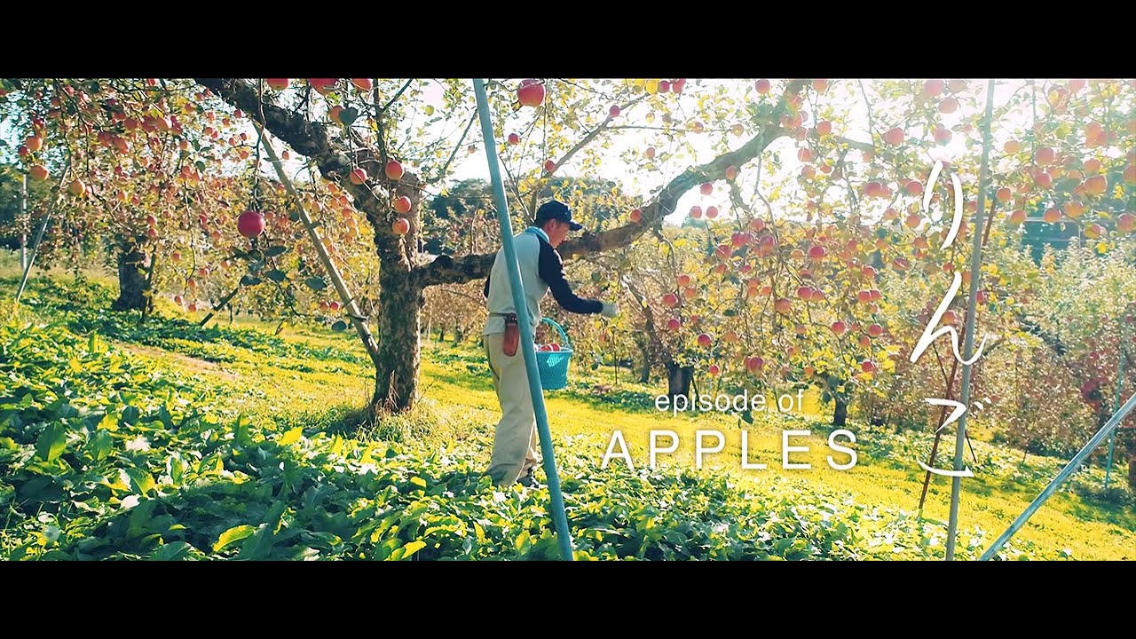 Breath of Nagano - Story of APPLES (JP) - YouTube