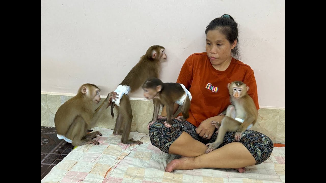 OMG!! WHAT IS BROTHER SOVAN TRYING TO CHECK ON SISTER SOVANNY? - YouTube