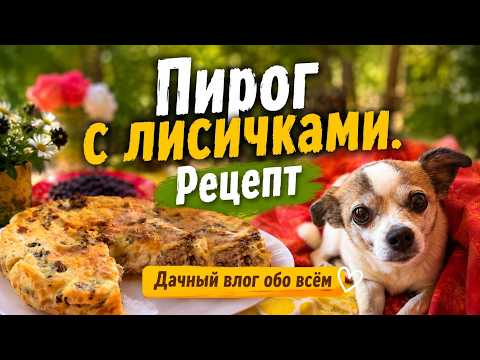 Огород даёт урожай! Пирог с грибами и путешествие в Таллинн. Дачный влог с рецептом