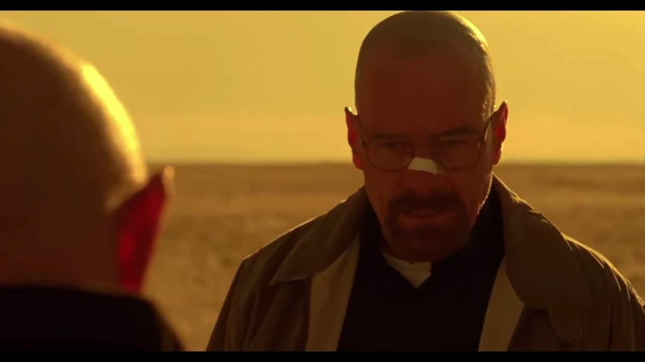 Breaking Bad - Walter informs Mike that Gus recorded their love making ...