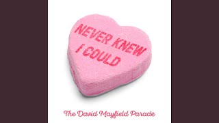 The David Mayfield Parade - Never Knew I Could Chords - Chordify