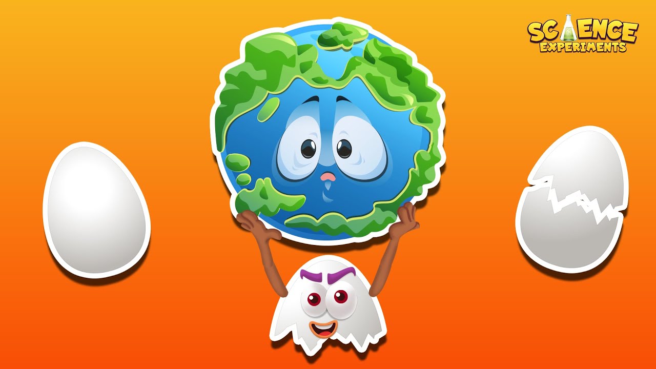 Simple Science Experiment With Eggs | Eggshell Strength Experiment ...