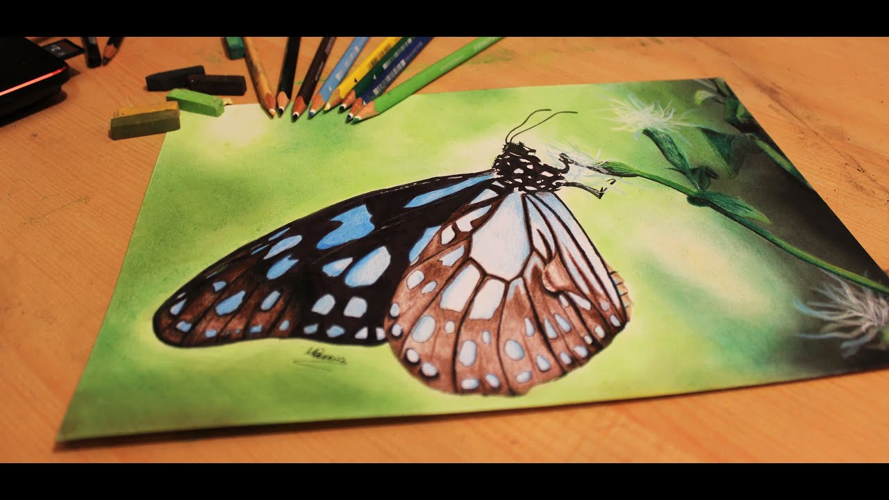 Speed Drawing ☼ : Papillon - YouTube