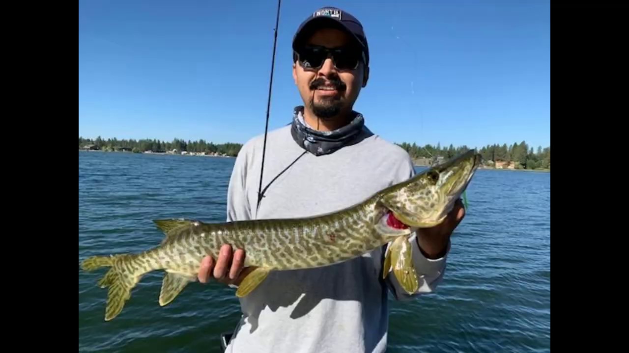 Bass fishing Silver Lake with some surprise Tiger Muskie. - YouTube