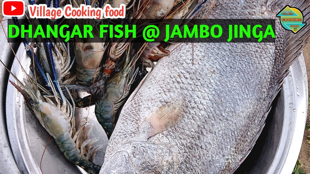 DHANGAR FISH @ JAMBO JINGA | village cooking food_1 #village - YouTube