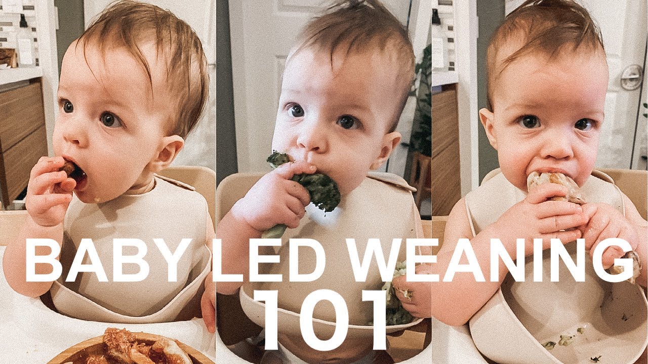 Everything You Need To Know About BABY LED WEANING - YouTube