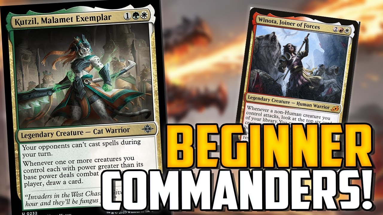 5 BEGINNER Budget Commanders For New Players! - Magic: The Gathering ...