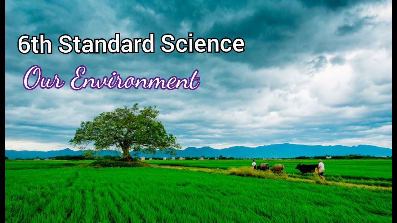 6th Standard Science: Our Environment - YouTube