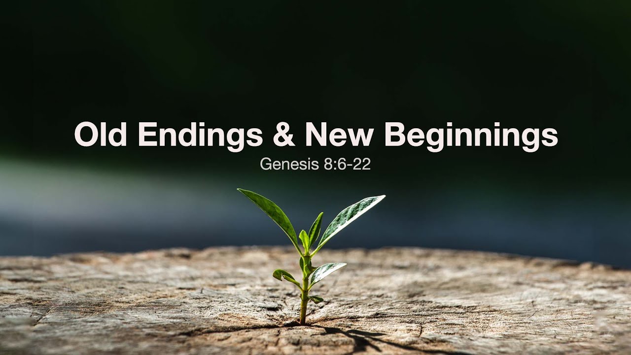 Genesis 8:6-22 Old Endings & New Beginnings - YouTube