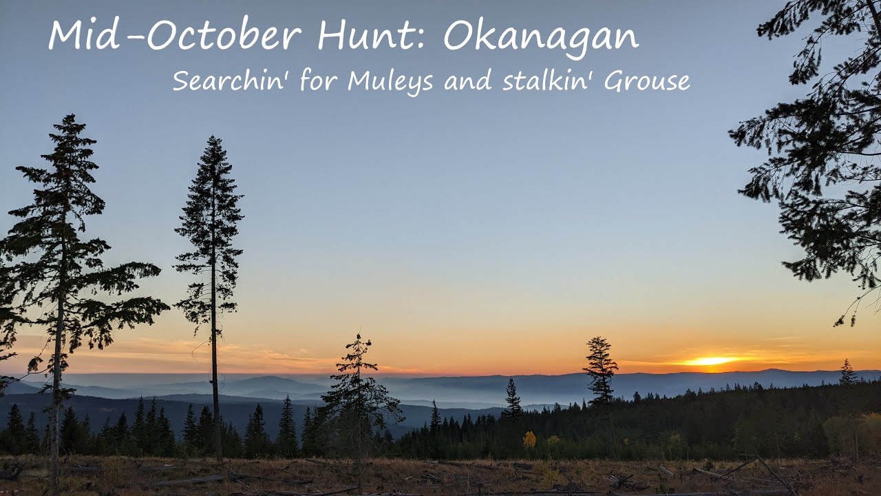 Chasing Grouse and searching for Deer. October Hunt, Region 8. - YouTube