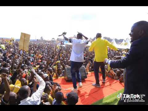 DEDAN TALIMBA by Arnold Amilian ft queen mackline 
