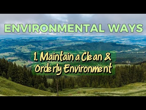1. Maintain a Clean & Orderly Environment: The ENVIRONMENTAL Way To ...