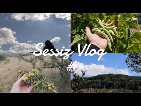 SESSİZ VLOG | Köyde Bir Gün 🌲💚 #sessizvlog