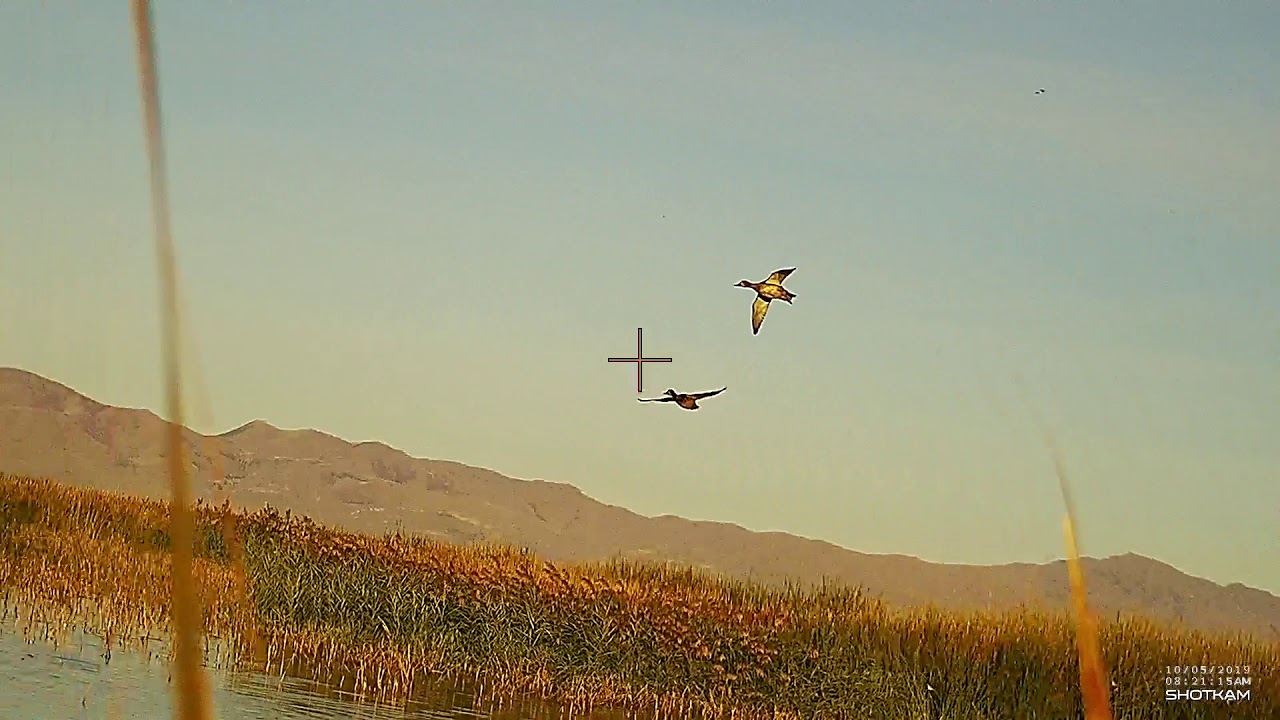 Opening Day 2019 - Northern Utah Duck Hunt - YouTube