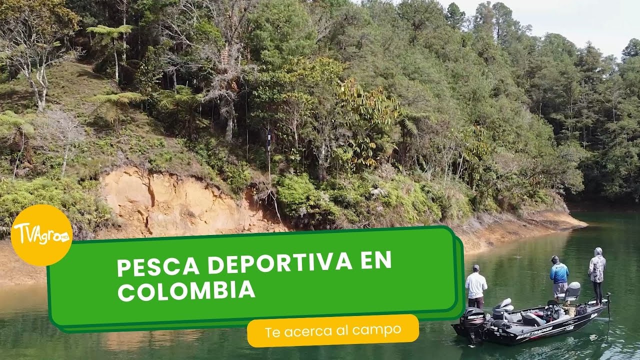 Pesca deportiva en Colombia - TvAgro por Juan Gonzalo Angel Restrepo ...