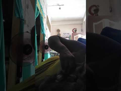 KUCING MANJA SUKA CIUM KETIAK CIUM PIPI GIGIT GIGIT PIPI