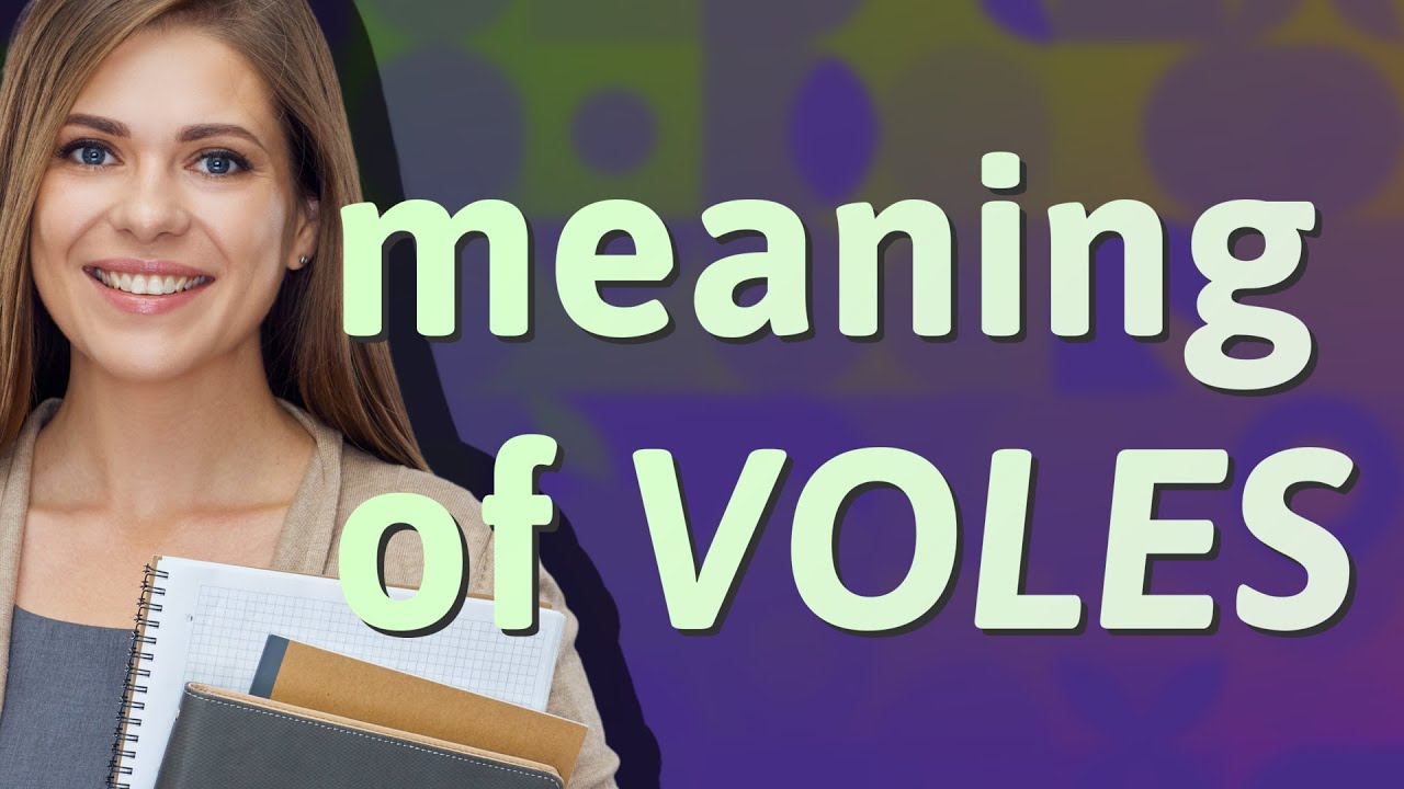 Voles | meaning of Voles - YouTube