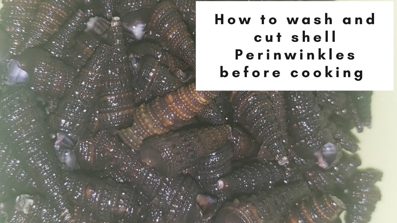 How to wash and cut shell Perinwinkles before cooking - YouTube