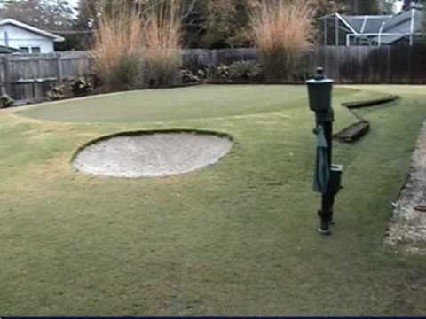 frost damage on my turf grass - YouTube