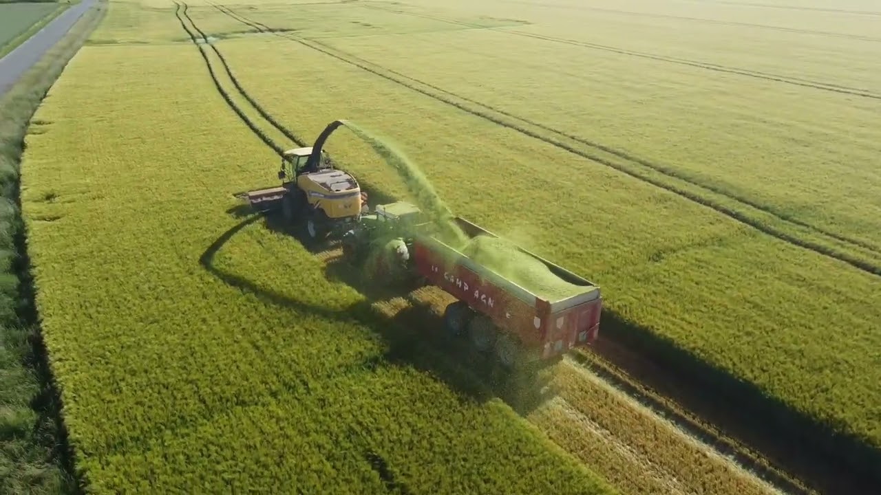 ensilage 2021 - YouTube