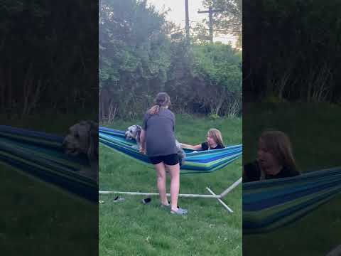 Hammock time - YouTube