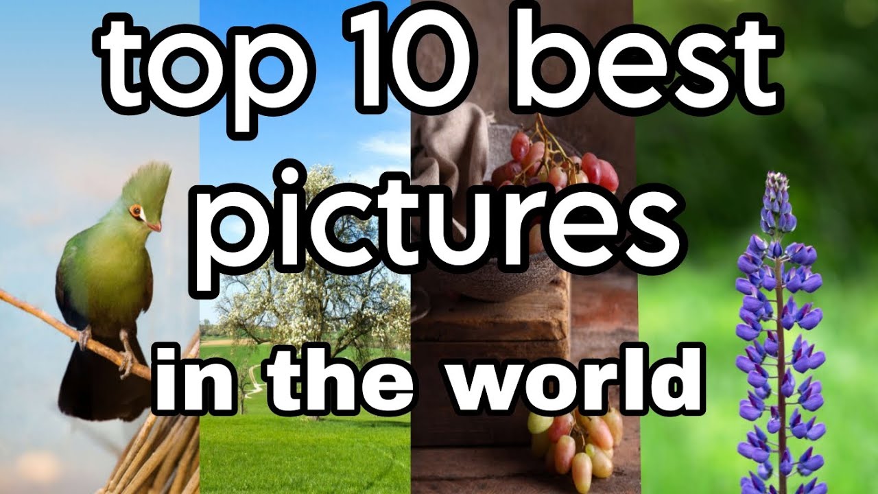 Nature beautifull pictures in the world 🥰👍💌 top 10 best picture in the ...
