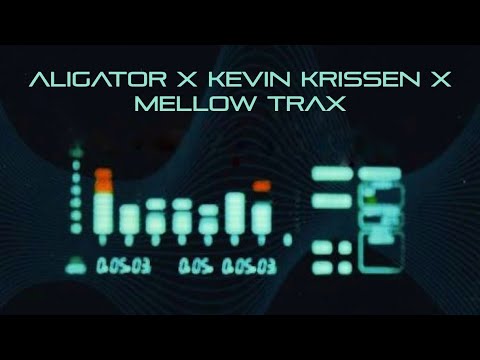 Aligator, Kevin Krissen, Mellow Trax - Phuture Vibes 2024 Remake. - YouTube