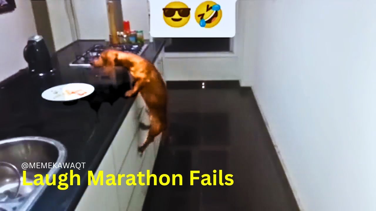 laugh Marathon Fails P-13 - YouTube