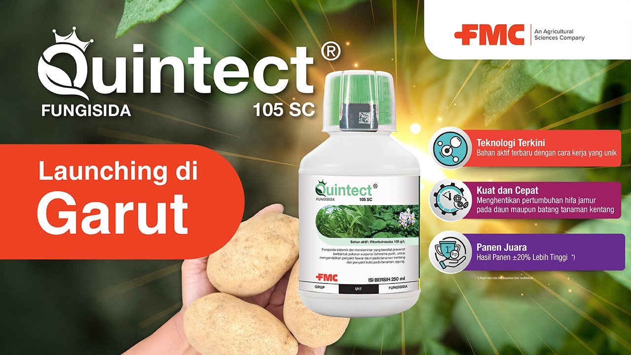 Quintect®️ 105 SC Launching di Garut - YouTube