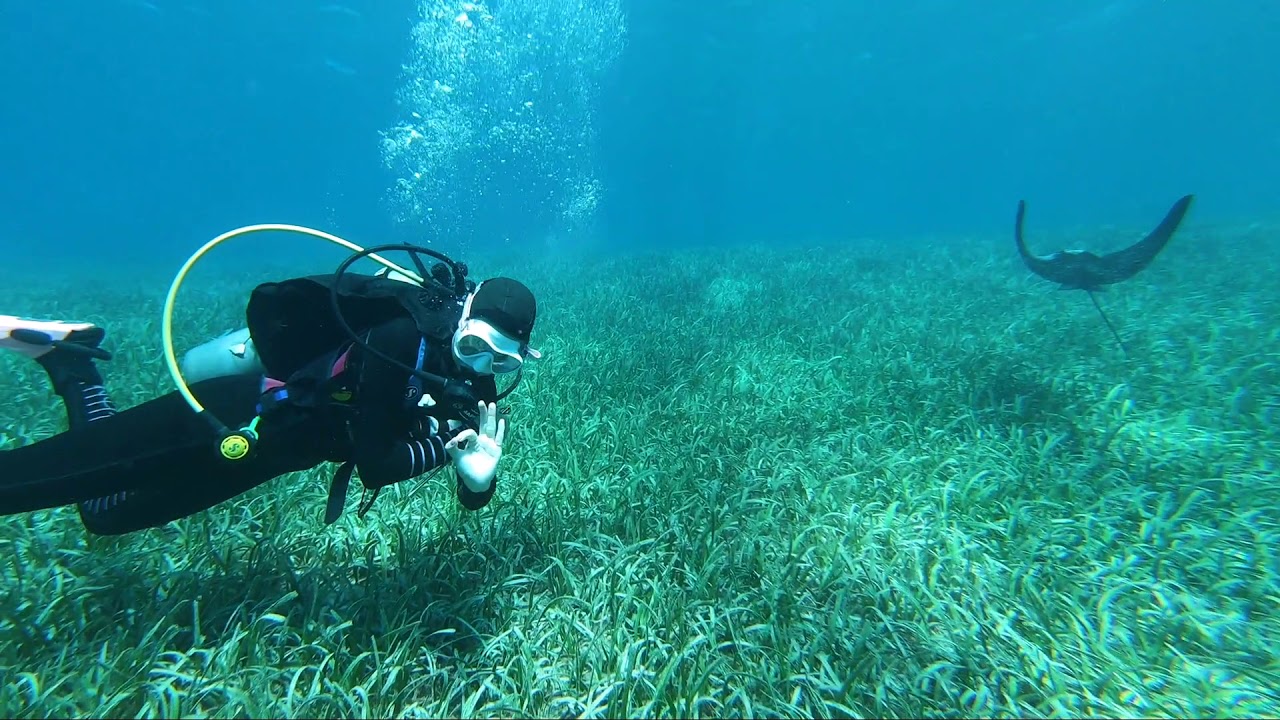 020920 Roatan Blue Channel - YouTube