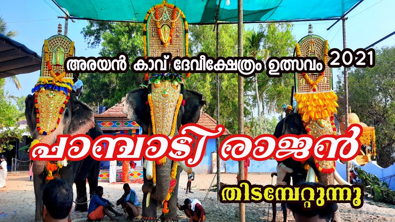 arayankavu Devi temple ulasvam2021# pamppaddy Rajan പാമ്പാടി രാജ ...