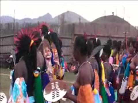 La danse des roseaux, en bref