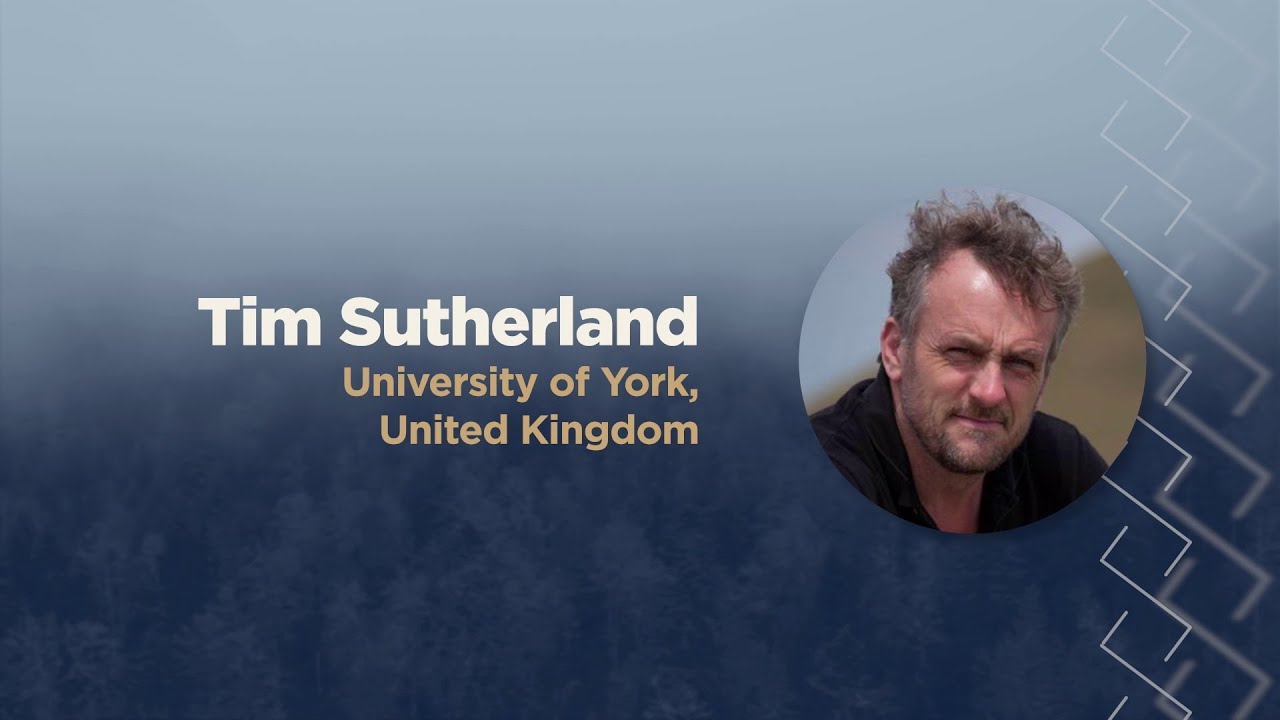 Tim Sutherland: ‘Medieval-Viking Dead’ / „Keskaja viikingite surnud“ - YouTube