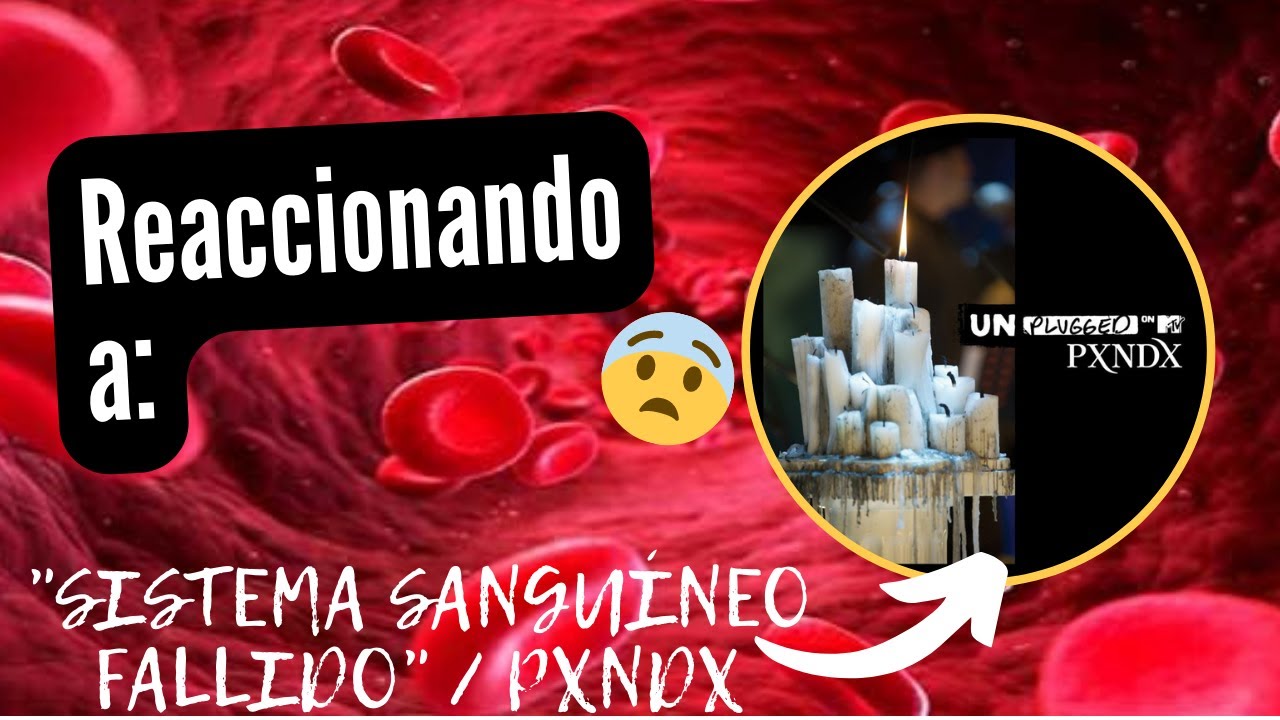Reaccionando a "Sistema Sanguíneo Fallido" | Pxndx #reaccion #pxndx # ...