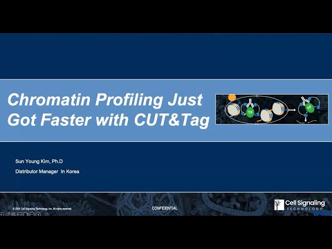 Chromatin Profiling Just Got Faster with CUT&Tag: CUT&Tag, 보다 빠르고 효율적인 ...