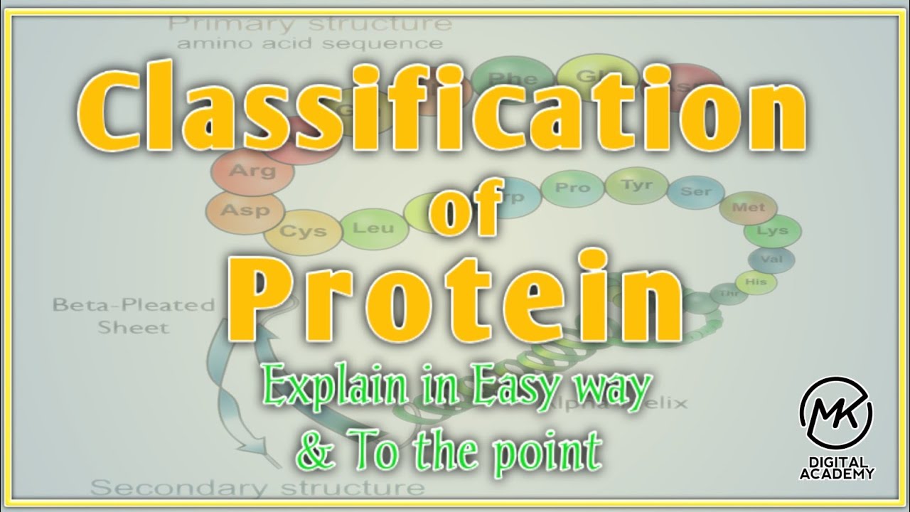 Classification of Proteins ||Biochemistry ||Mirha Coaching Academy ...