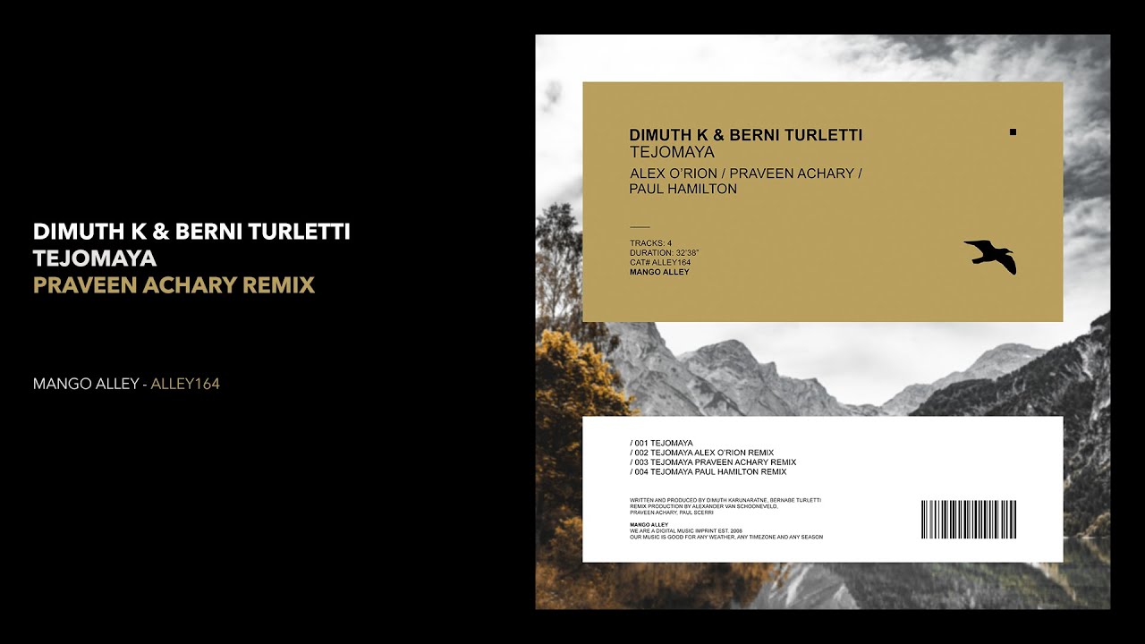 Dimuth K & Berni Tuletti - Tejomaya (Praveen Achary Remix) - YouTube