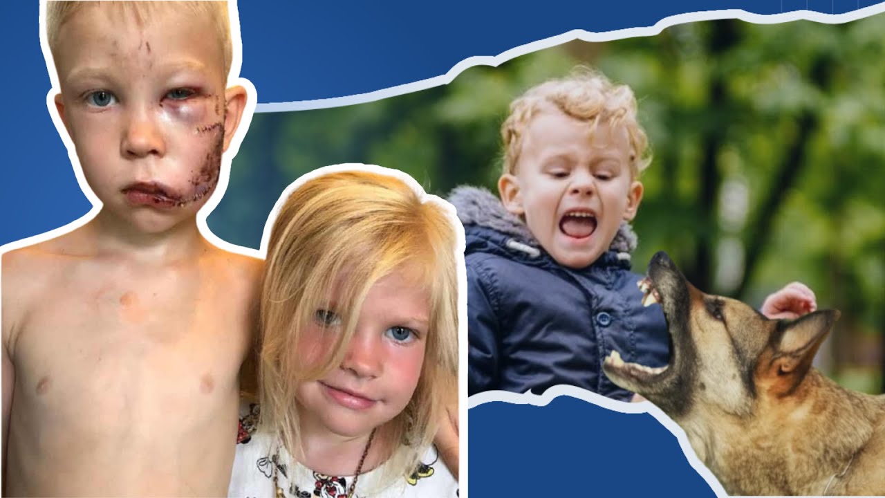 The dog almost ate his face | Bridger Walker - YouTube