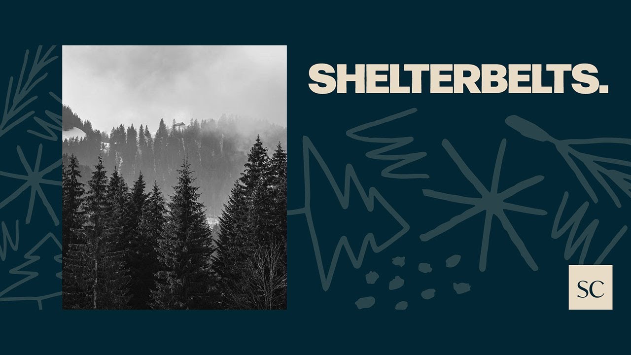 Shelterbelts // Pastor Adam Durso - YouTube