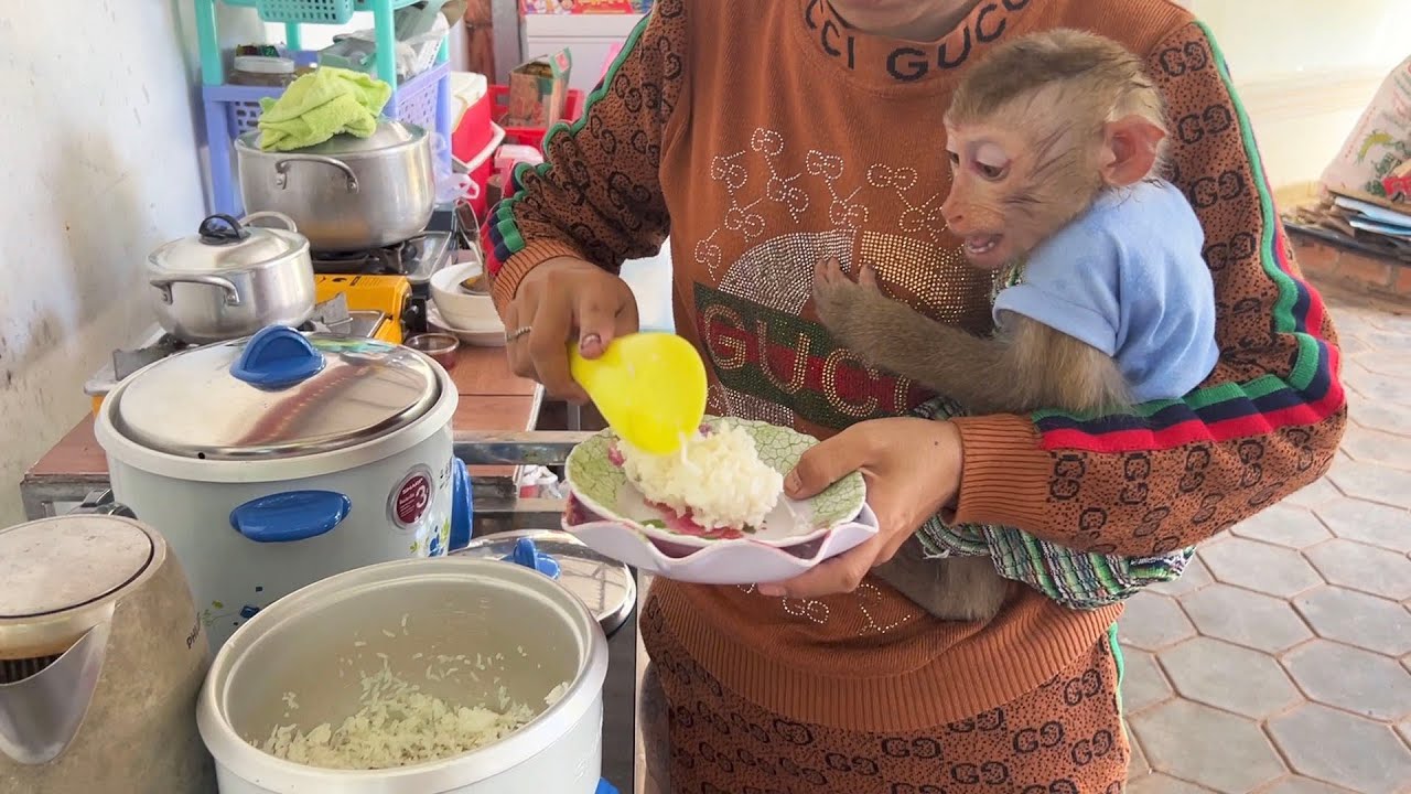 [Rice, Rice, Rice] This Is The Most Fav Food For Picky Flloyd - YouTube