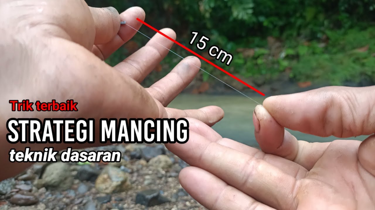 RANGKAIAN PANCING WADER || Cara mancing ikan wader babon menggunakan ...
