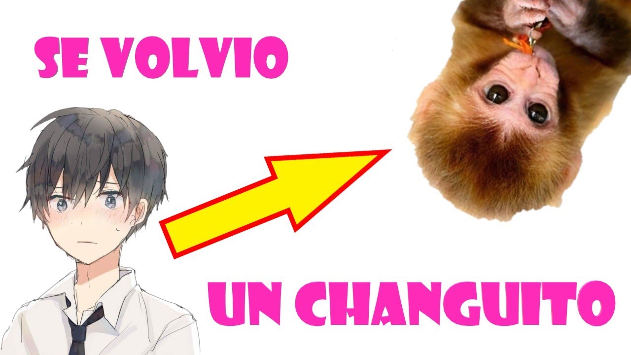 El dia que mi amigo se volvio un changuito | story time - YouTube