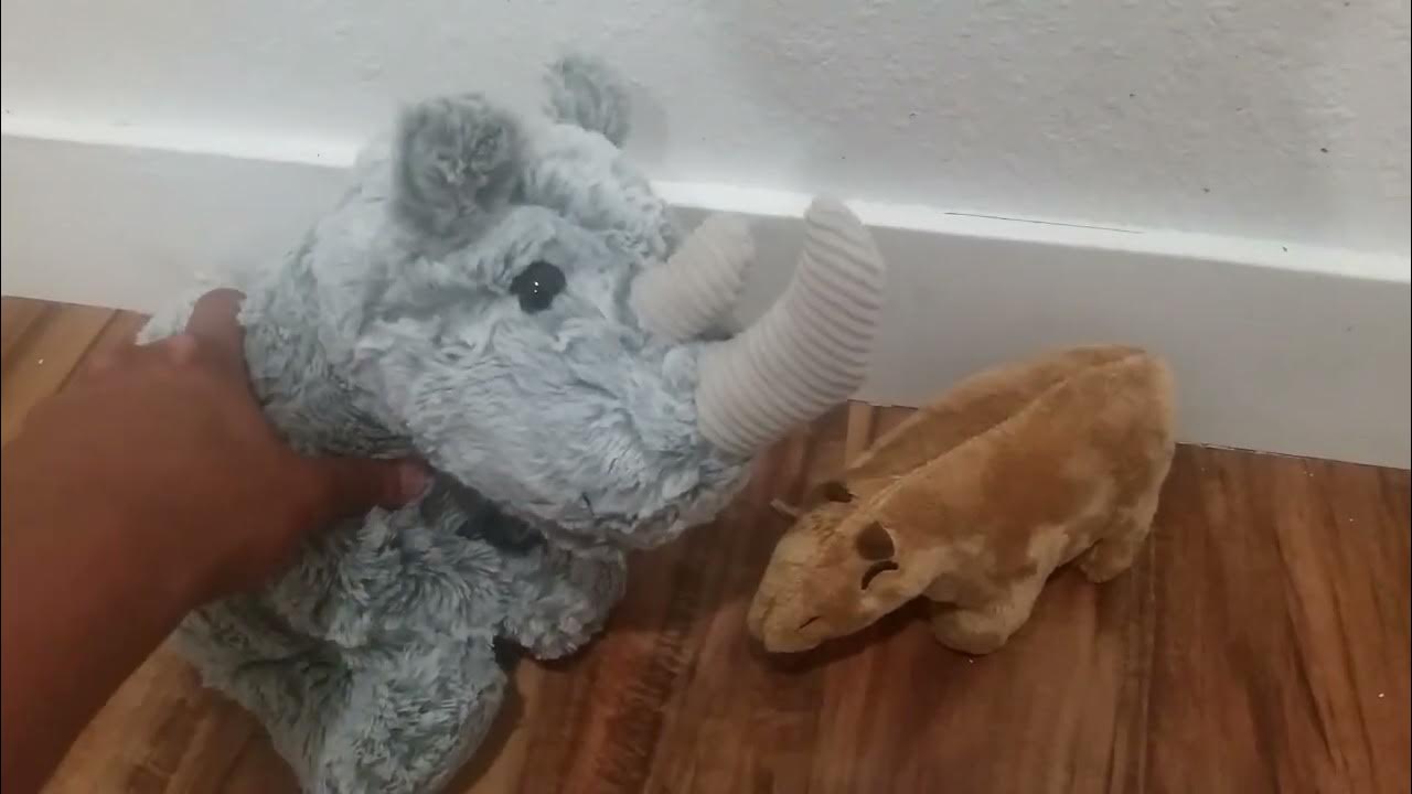 Fluffy Rhino Learns about Capybara - YouTube