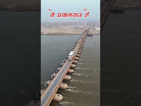 Ye Prayagraj hai | MahaKumbh 2025  🚩#prayagrajkumbh #youtubeshorts