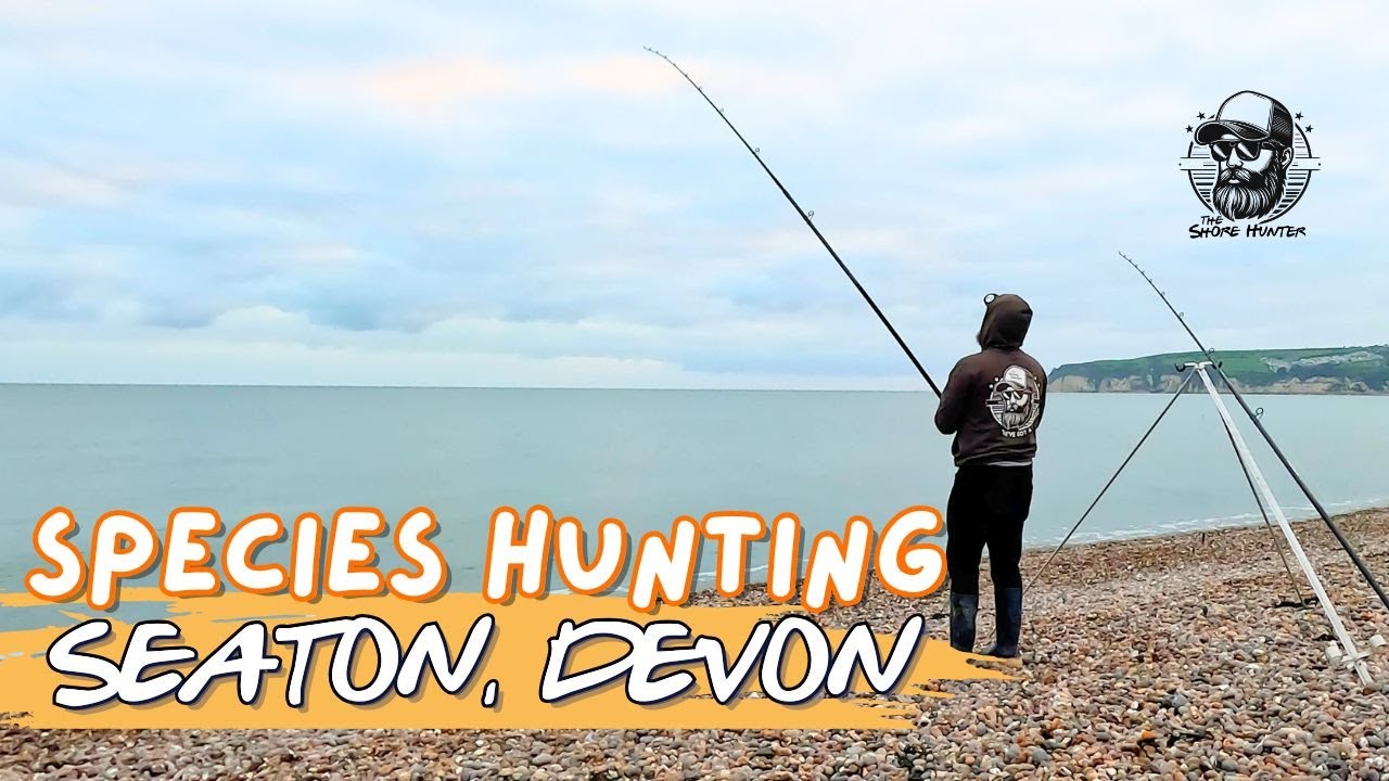 Species Hunting in Seaton, Devon Using Dongle Rig | Fishing With Wayne ...