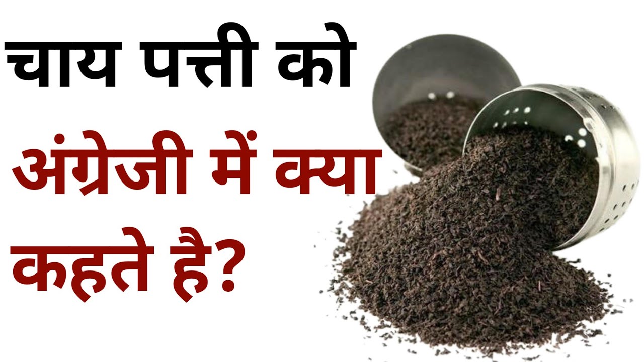 चाय पत्ती को इंग्लिश में क्या बोलते हैं?| chai patti ko english mein ...