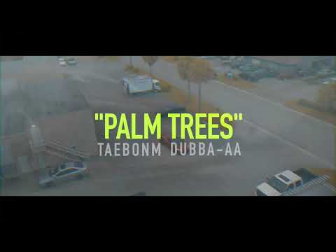 TaeboNM “Palm Trees” FT Dubba-AA (OFFICIAL VIDEO) - YouTube