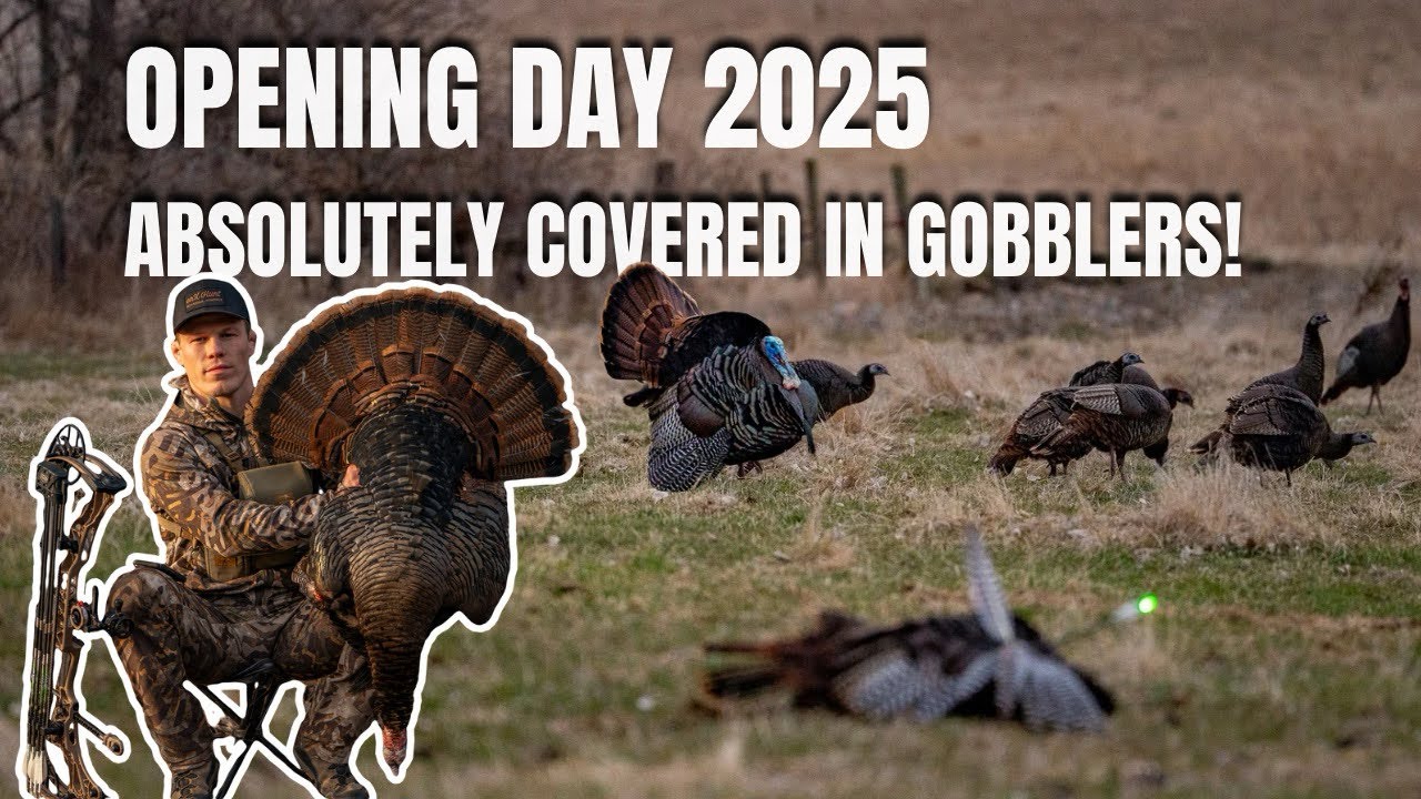 INSANE TURKEY HUNT - SOUTH DAKOTA SPRING TURKEY | Gobblers Everywhere ...